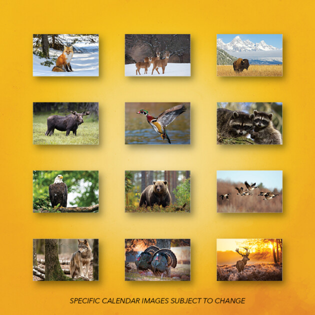 Custom Imprinted Wildlife Calendar - Into The Wild - Mighty Calendars