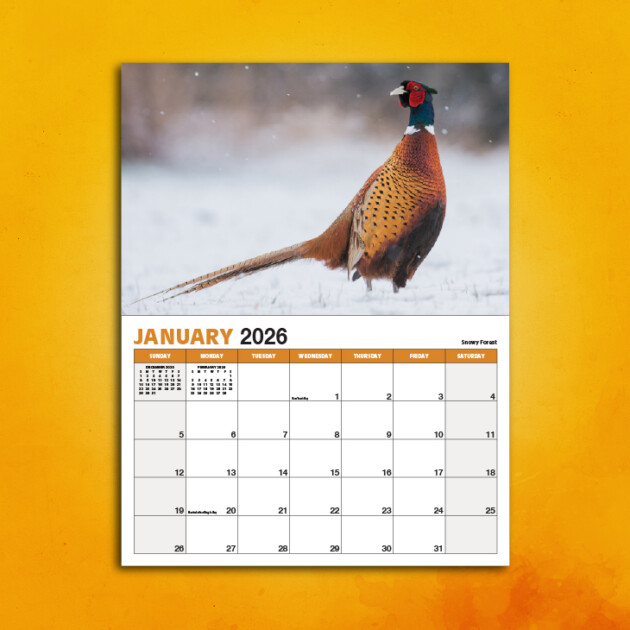 Custom Imprinted Wildlife Calendar - Into The Wild - Mighty Calendars